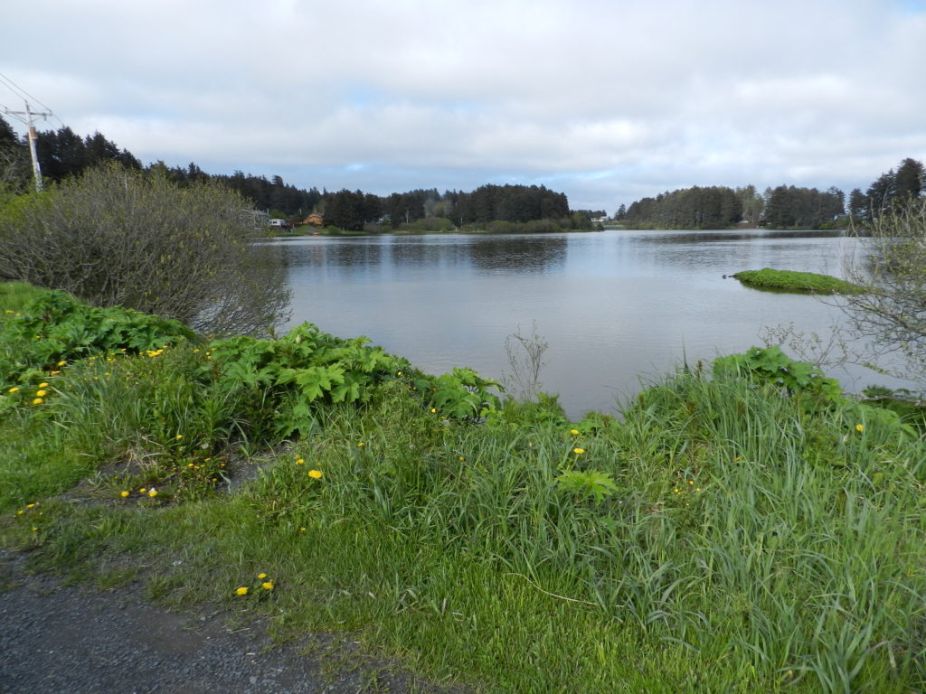 Mission Beach and Mission Lake now safe for public use - KMXT 100.1 FM